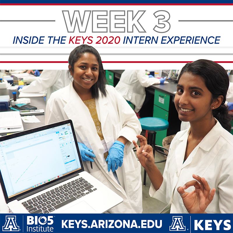 KEYS Check-In – Week 3 | KEYS