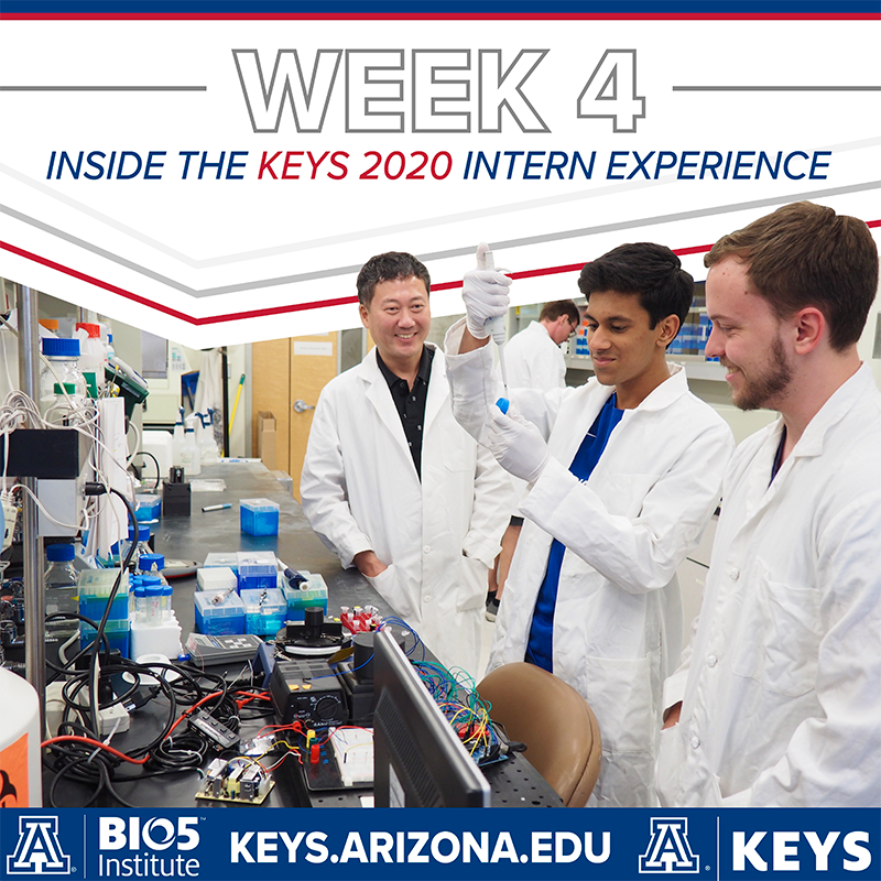 KEYS Check-In – Week 4 | KEYS