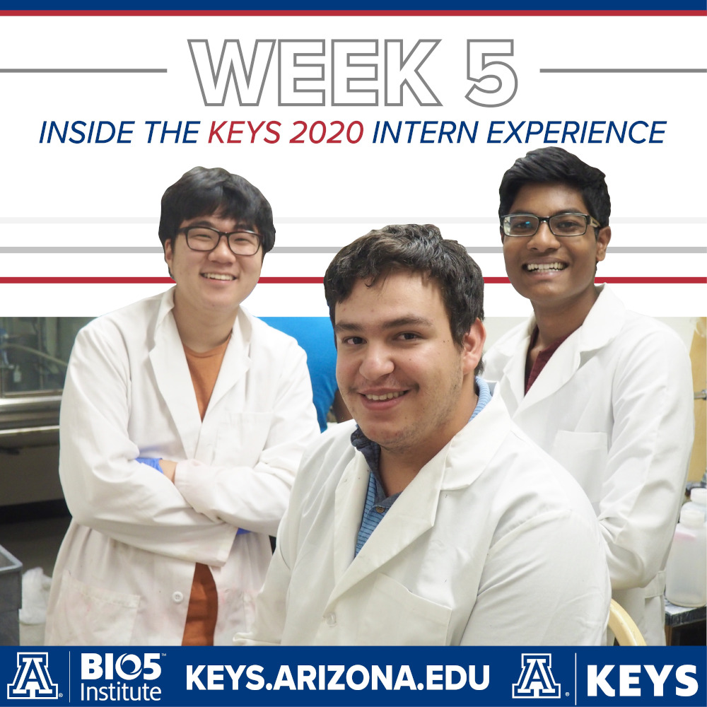 KEYS Check-In – Week 5 | KEYS